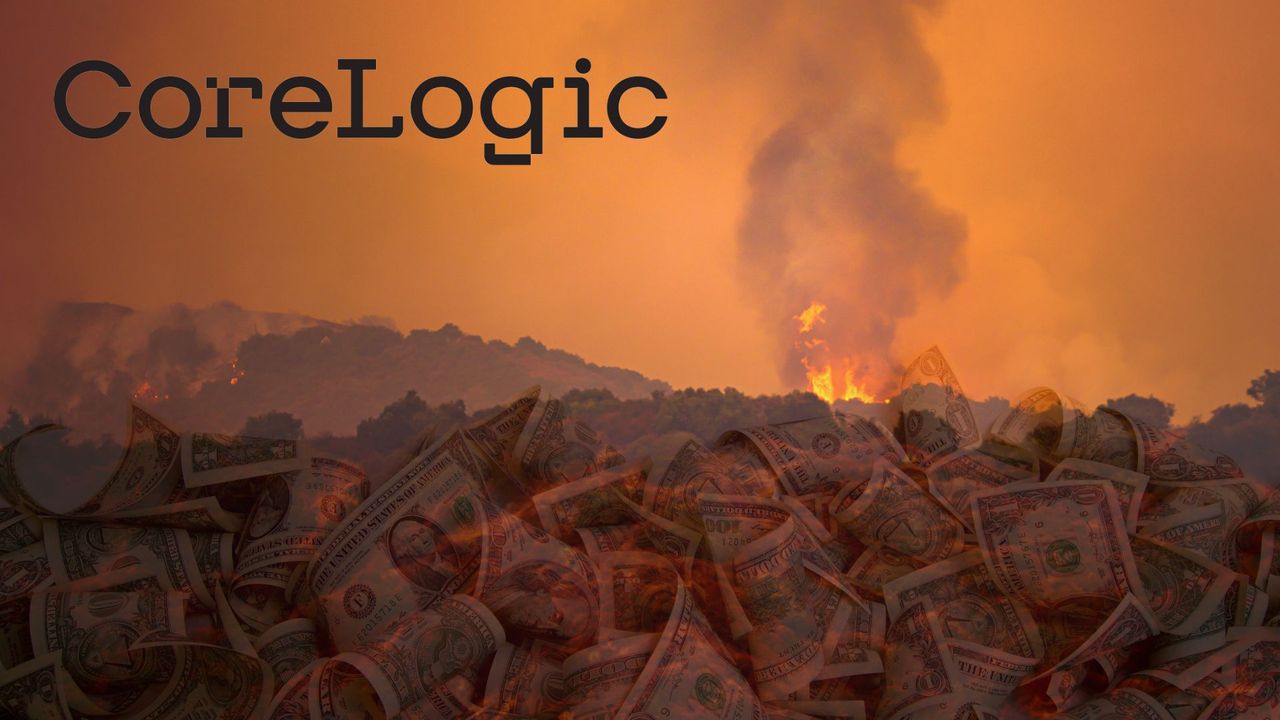Reinsurers on the hook for just 3% of LA wildfire insurance losses ...